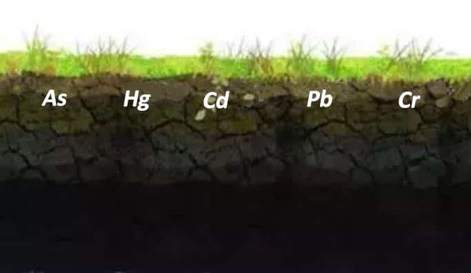 Key Soil Problems in Soil | Cause & How to Prevent